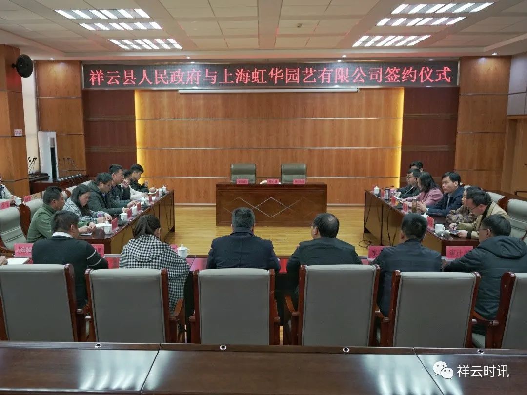 产业帮扶 祥云县与上海虹华园艺有限公司举行签约仪式