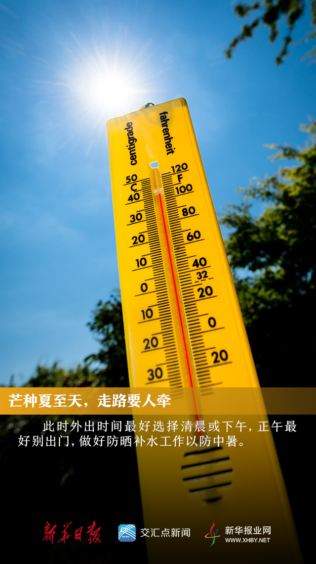 今日芒种