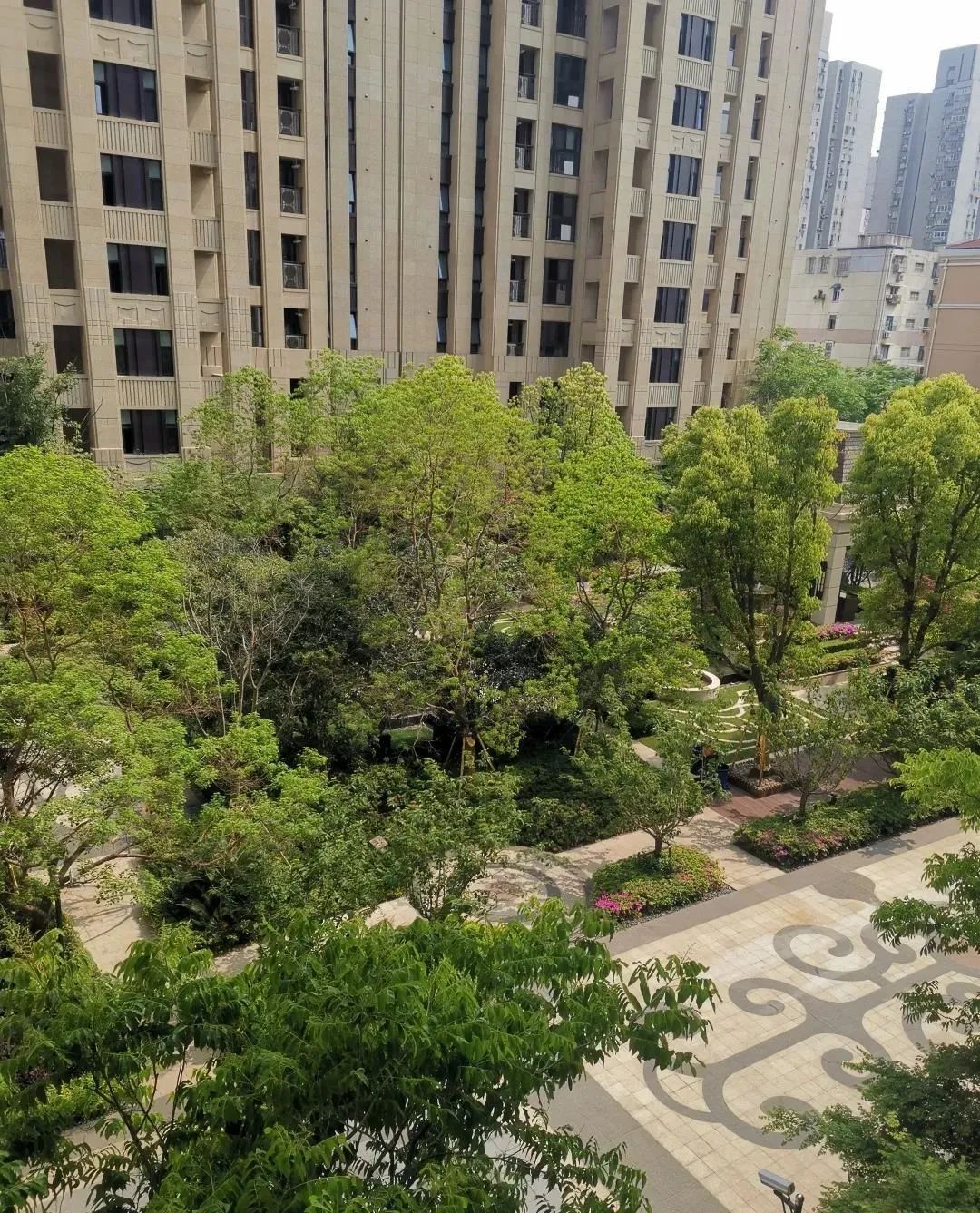 杨浦新推出的这6个新项目不得了！