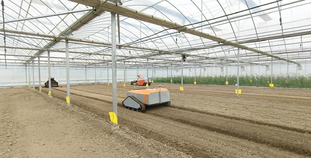 王金悦：机器人农场绘就智慧农业新图景