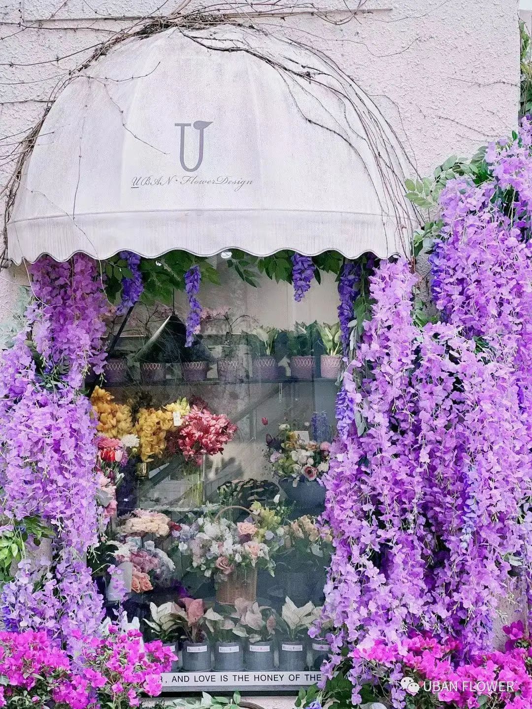 玫瑰花瀑、紫藤花墙...上一波让人心动的浪漫打卡地