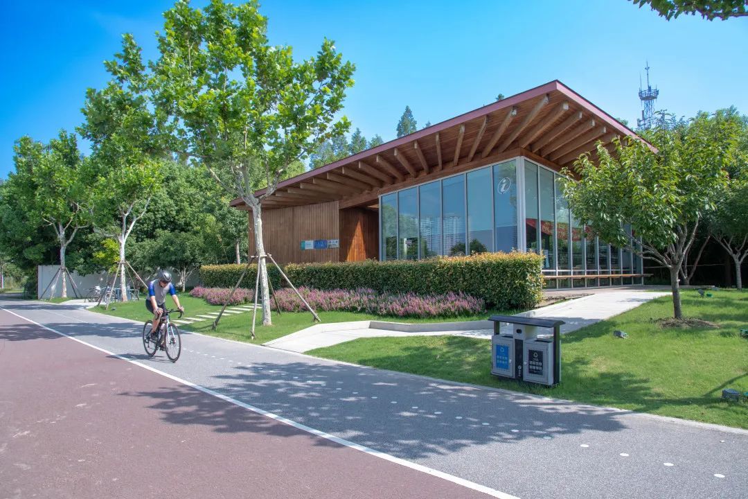 三条Cityride路线，沉浸式欣赏秋天的上海