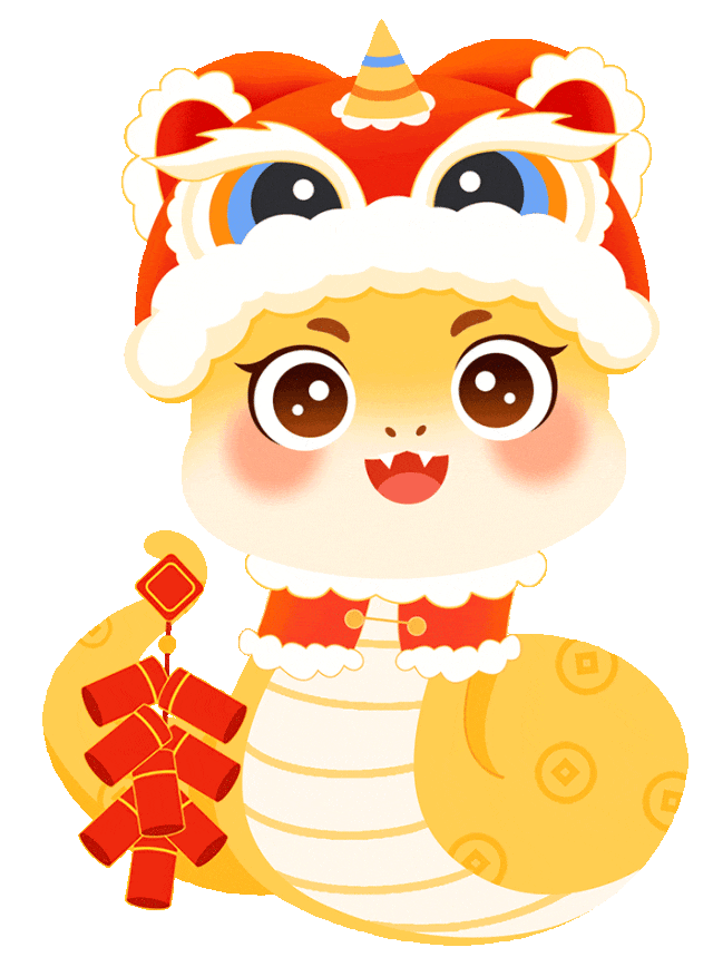 新春街头氛围感哪里找？北美冬青当仁不让～ | 小叶子沪花记