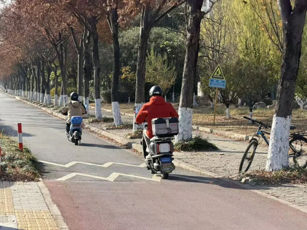 更安全！青浦适老化公交站台上线啦！_上观新闻