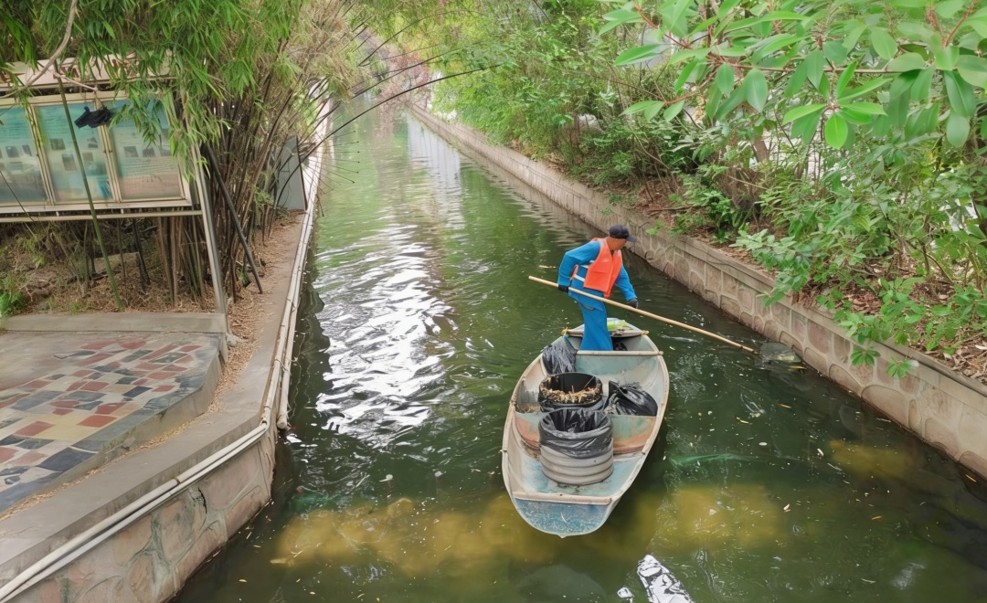 为生态做“加法”，给企业做“减法”：普陀探索柔性治理新实践_上观新闻