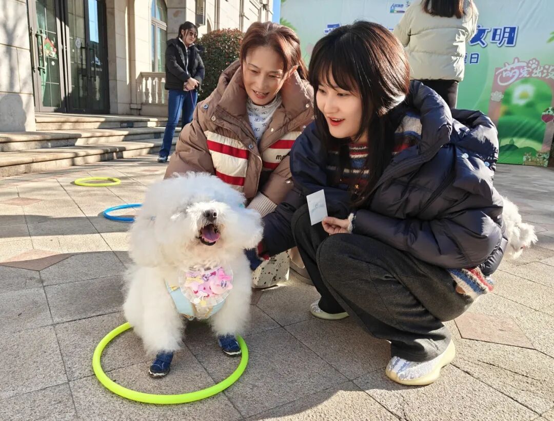 从“纸上承诺”到“场上实践” ，文明养宠公约落地生花_上观新闻